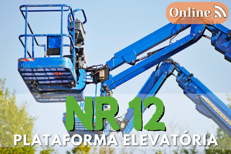 Curso nr 12 online - PLATAFORMA ELEVATÓRIA | Loja Virtual